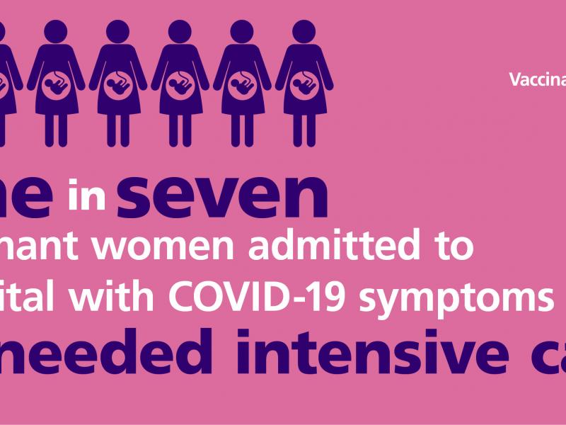 Homepage | solihull.gov.uk